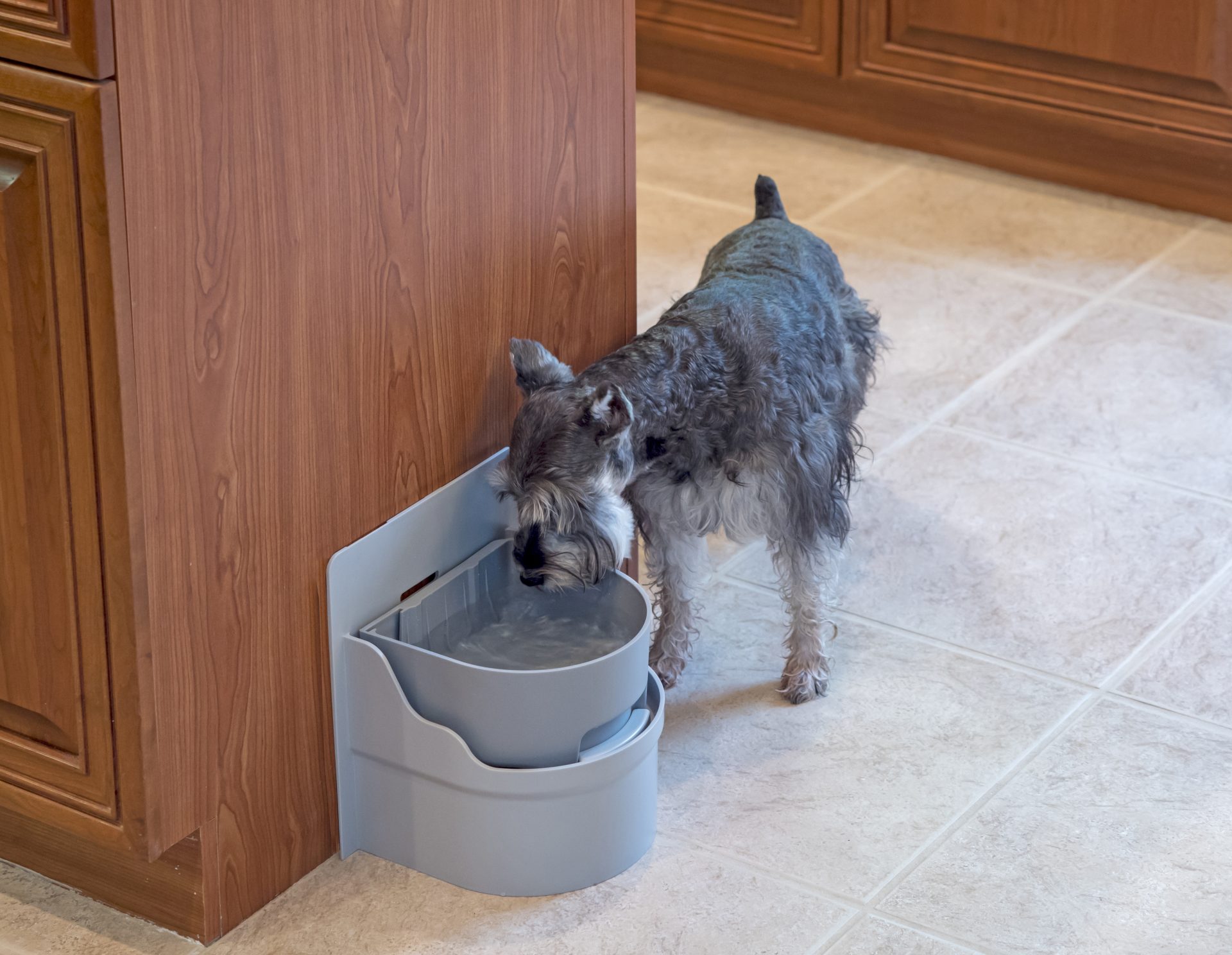 Perpetual Well Automatic Water Bowl - Perpetual Well
